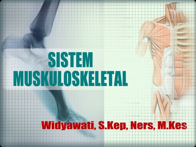Sistem muskuloskeletal | PPT