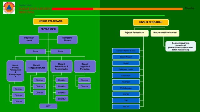 Sistem nasional penanggulangan bencana | PPTX