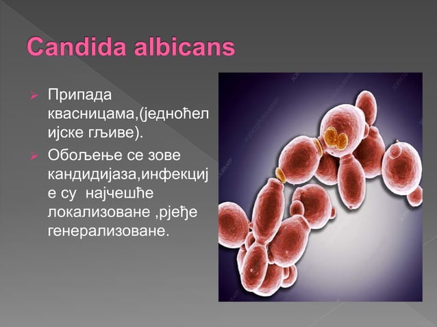 Sistemne mikoze | PPTX