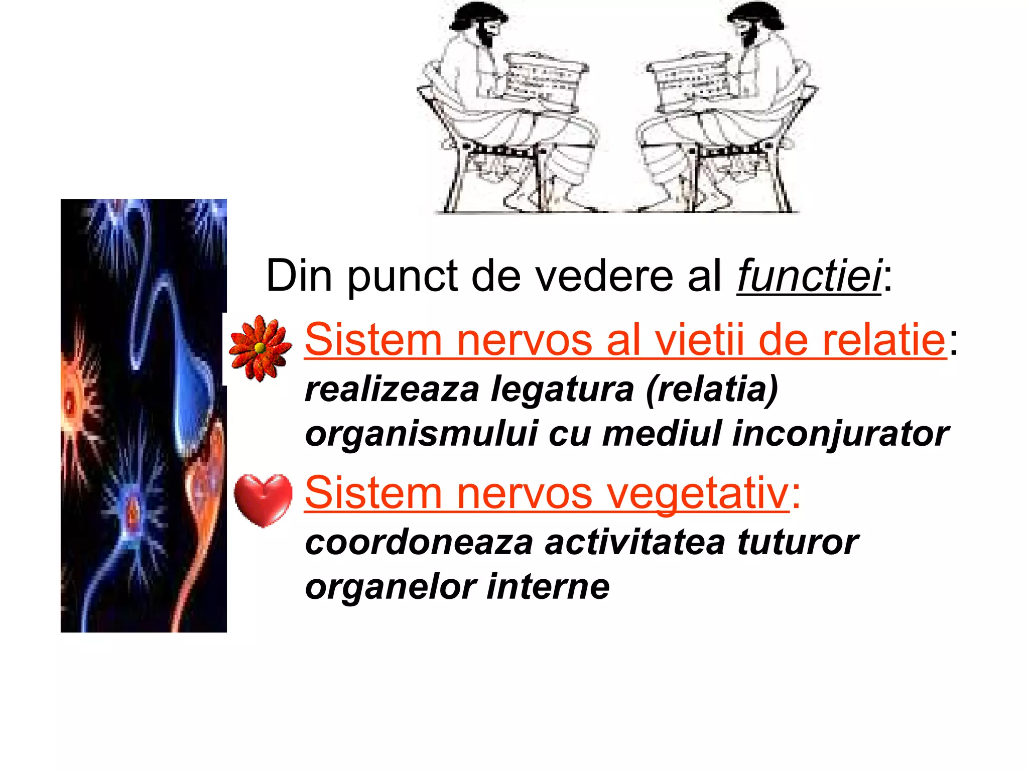 Sistem nervos | PPT