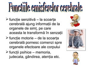 Sistem nervos | PPT