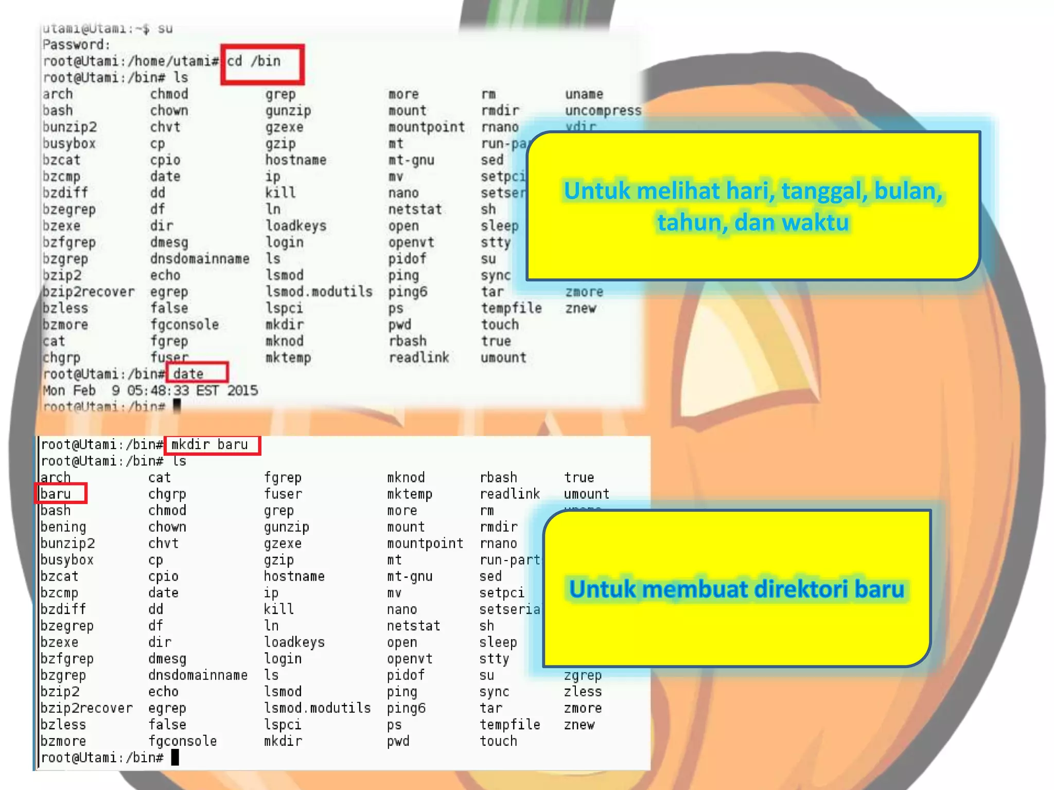 FHS (File Hierarchy Standard) | PPT