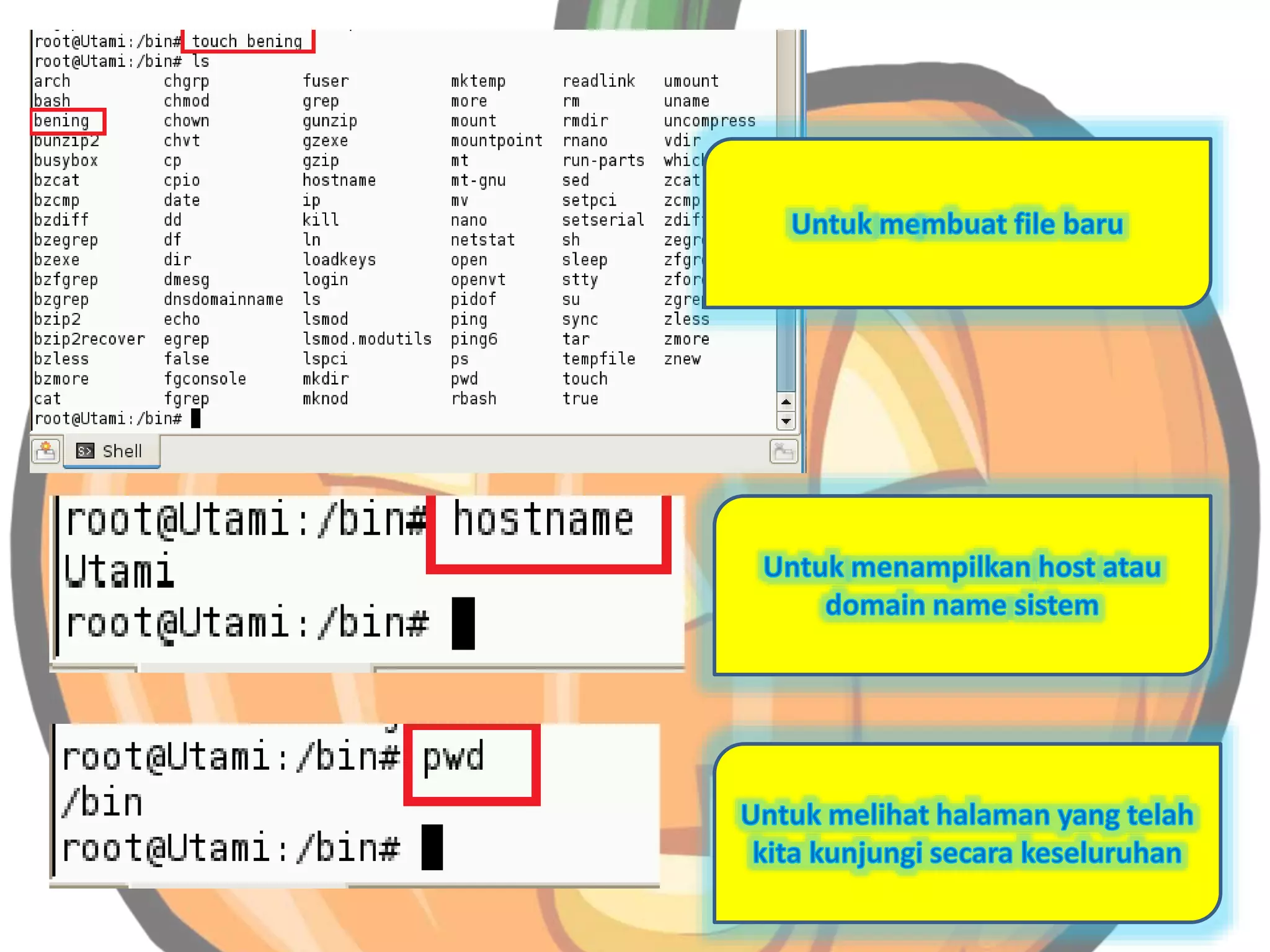 FHS (File Hierarchy Standard) | PPT