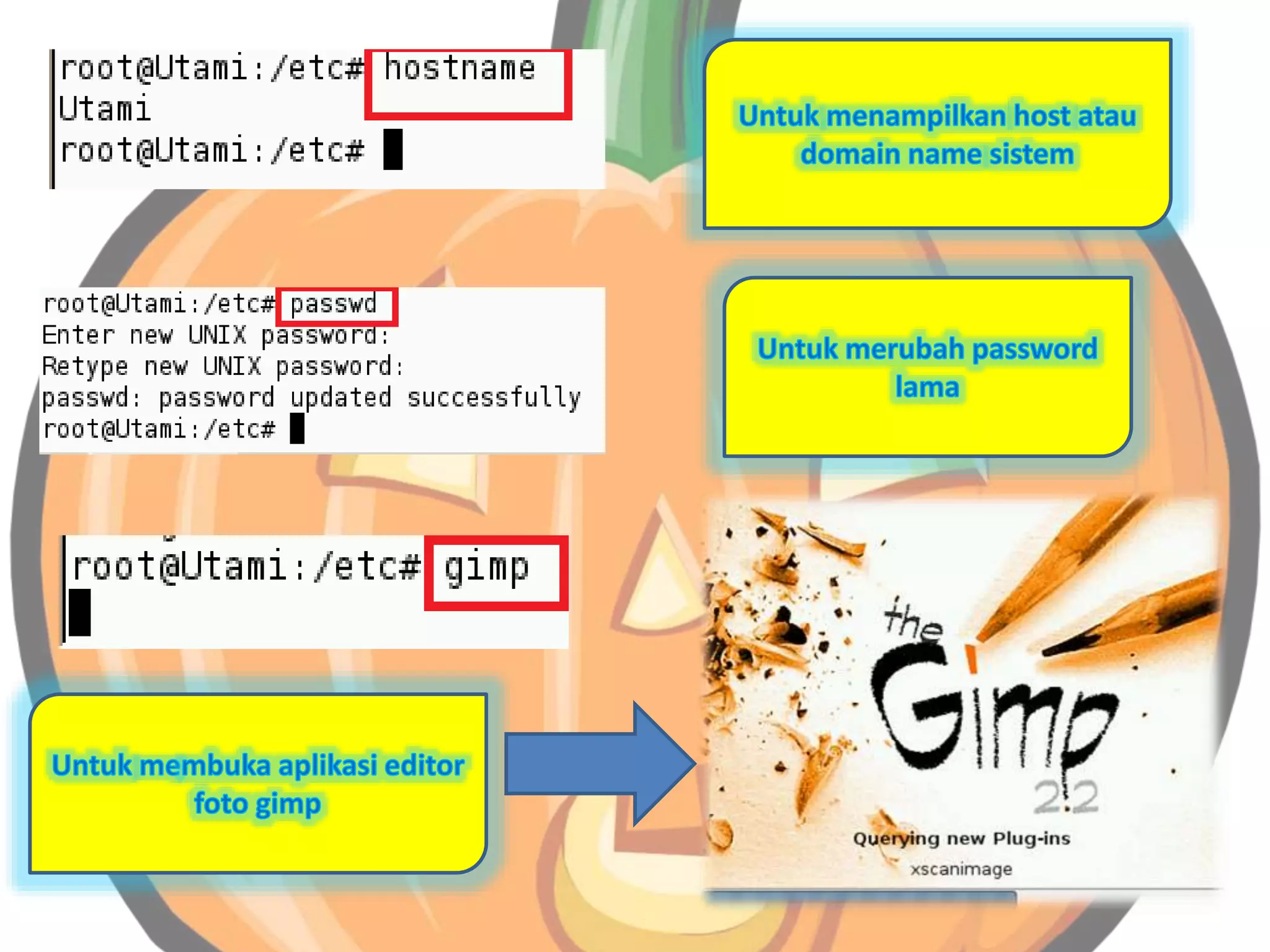 FHS (File Hierarchy Standard) | PPT