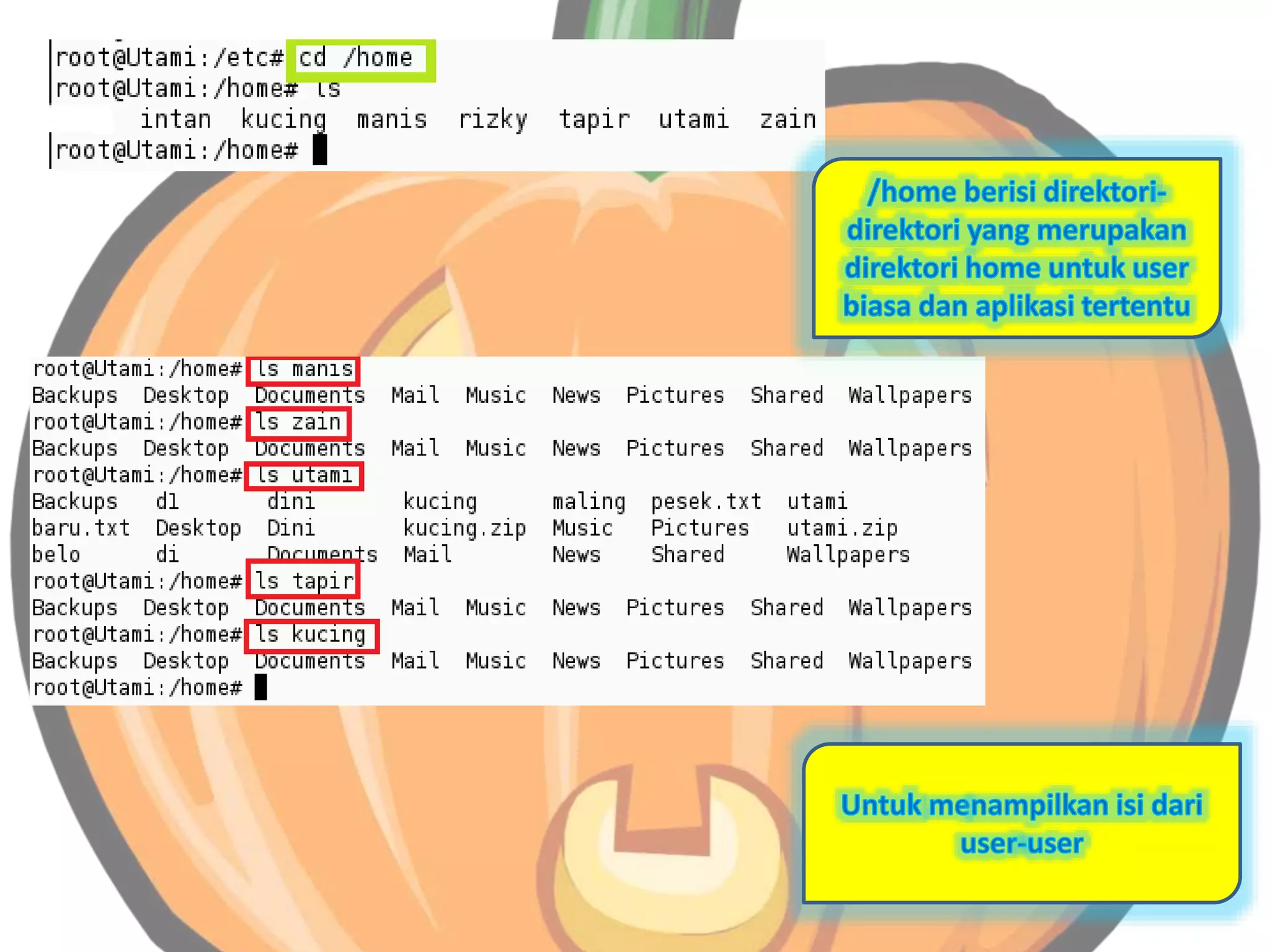 FHS (File Hierarchy Standard) | PPT