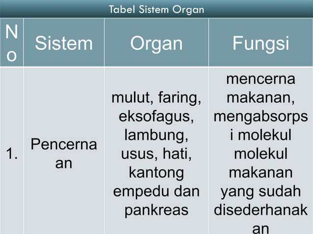 Sistem organ | PPTX