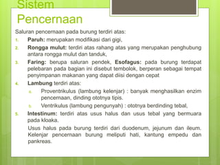 Sistem organ aves | PPTX