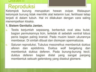 Sistem organ aves | PPTX