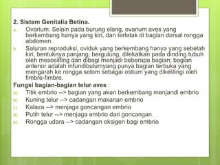 Sistem organ aves | PPTX