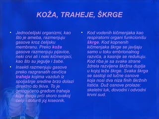 Sistemorganazadisanje 120530091432-phpapp01 (1) | PPT