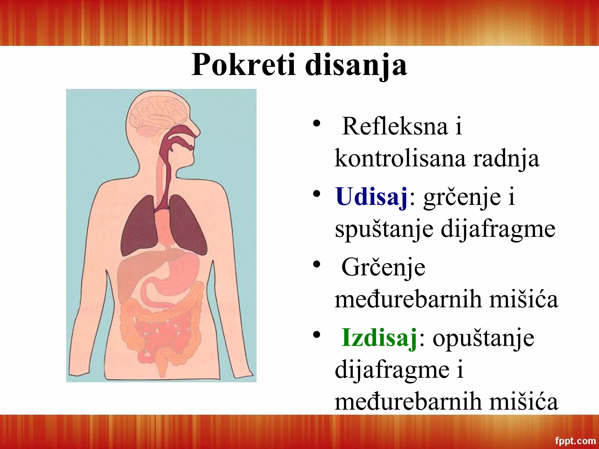 Sistem organa za disanje | PPT