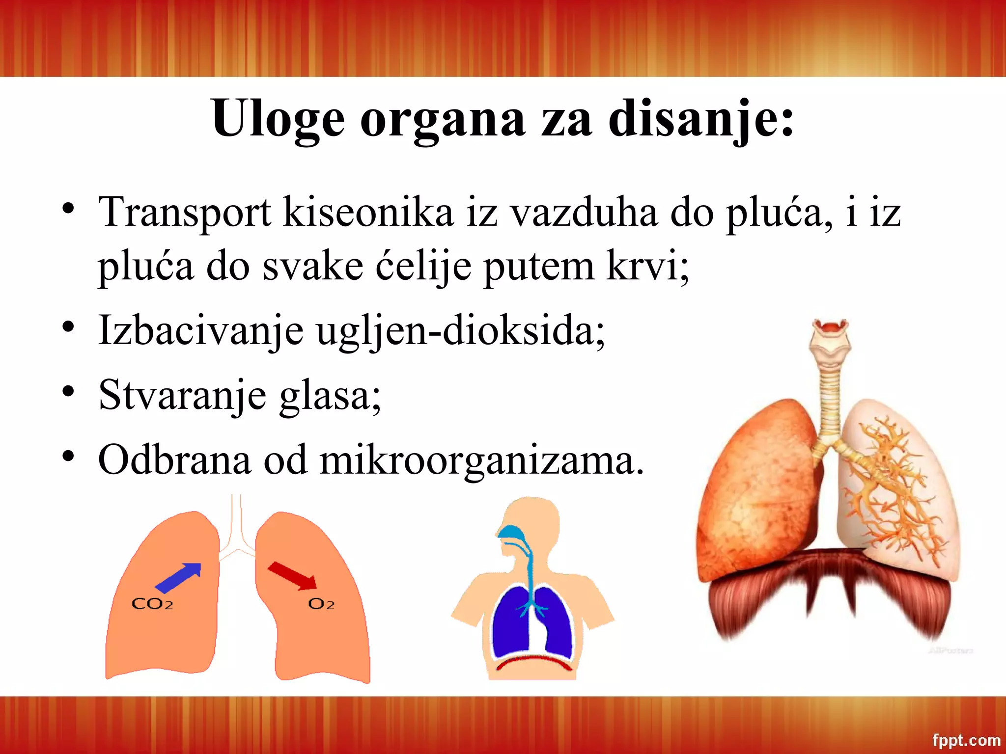 Sistem organa za disanje | PPT