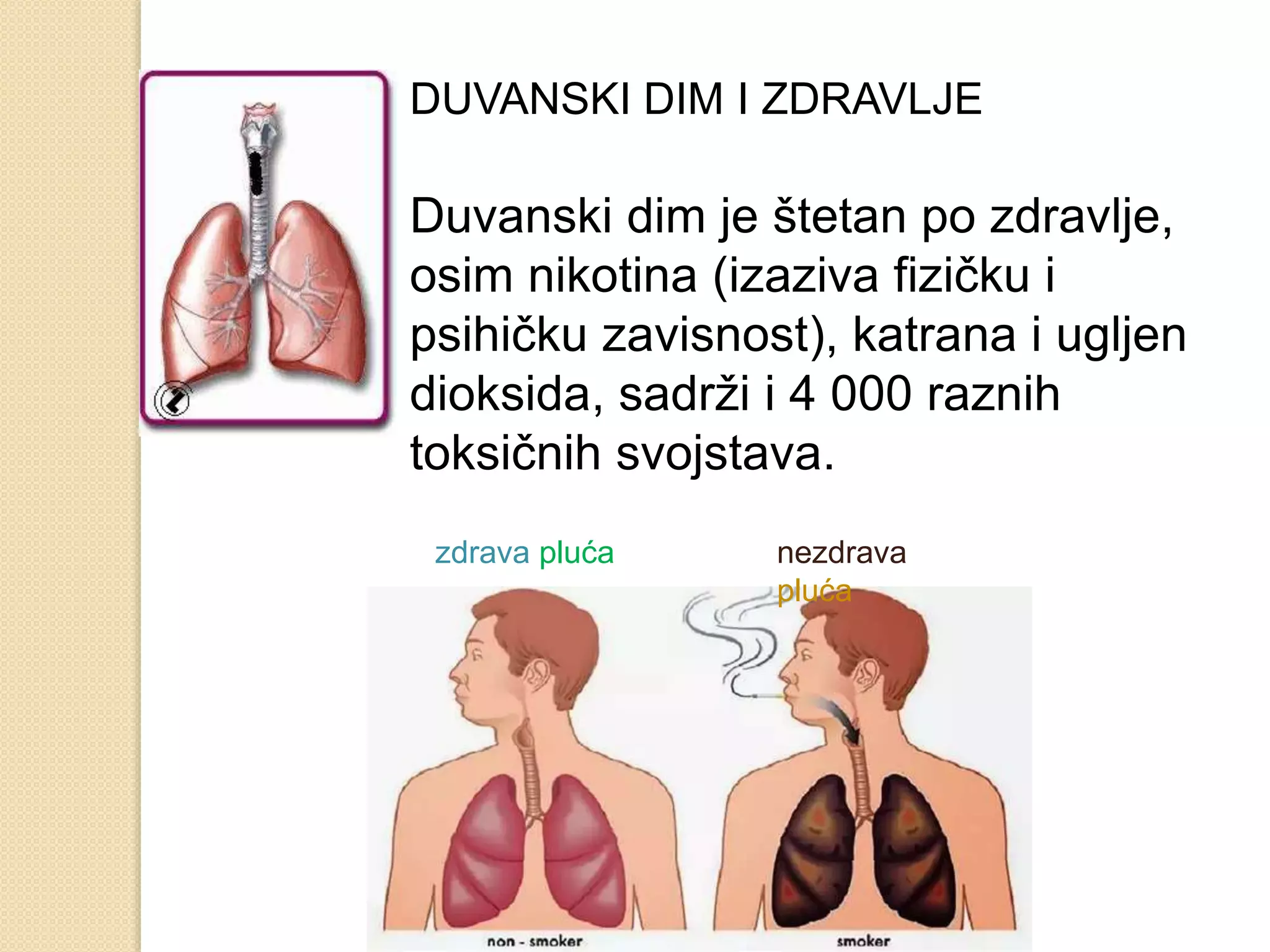 Sistem organa za disanje | PPTX