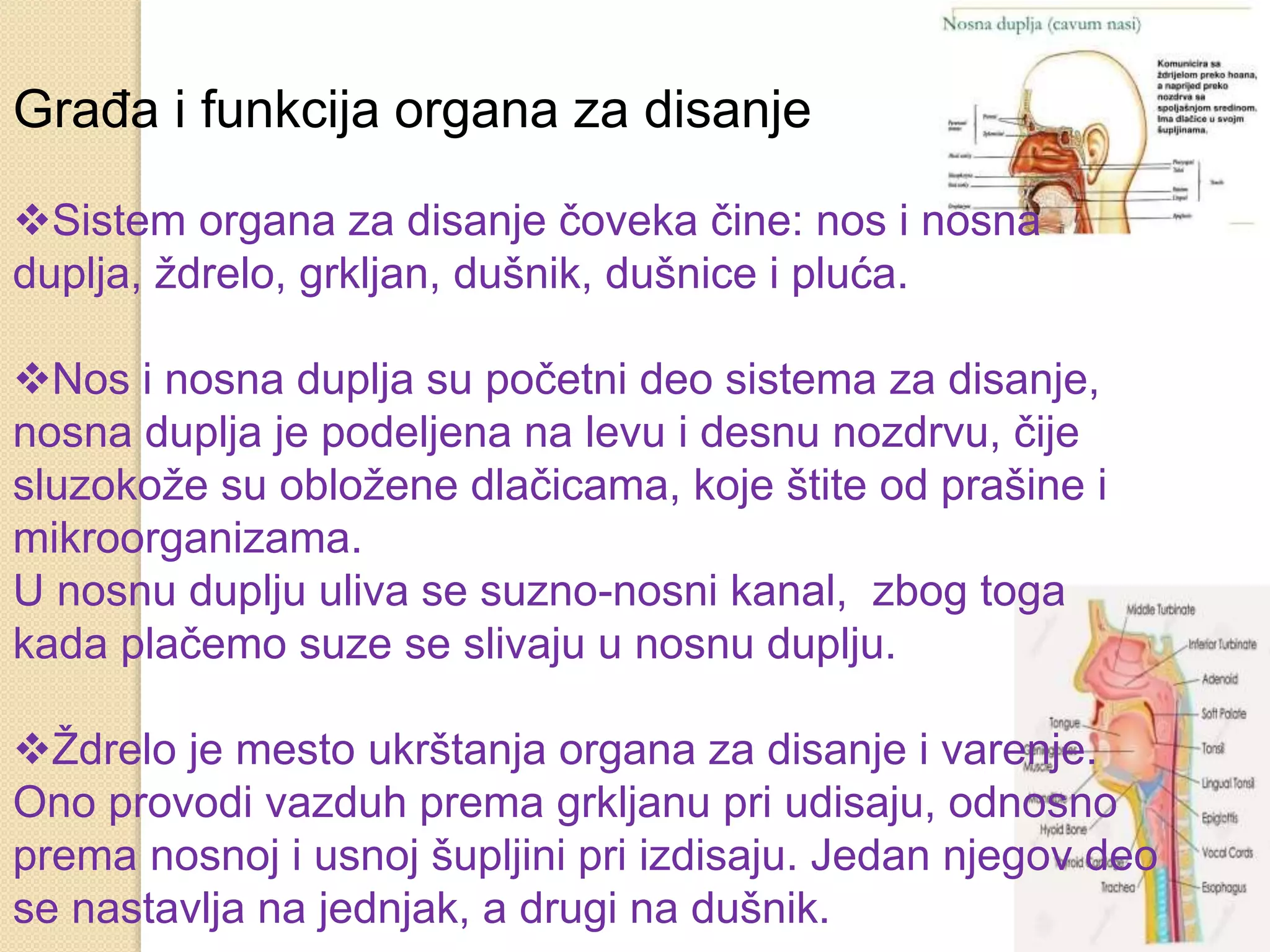 Sistem organa za disanje | PPTX