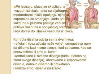Sistem organa za disanje | PPTX