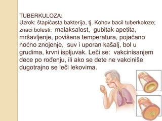 Sistem organa za disanje | PPTX