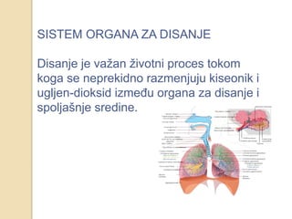 Sistem organa za disanje | PPTX