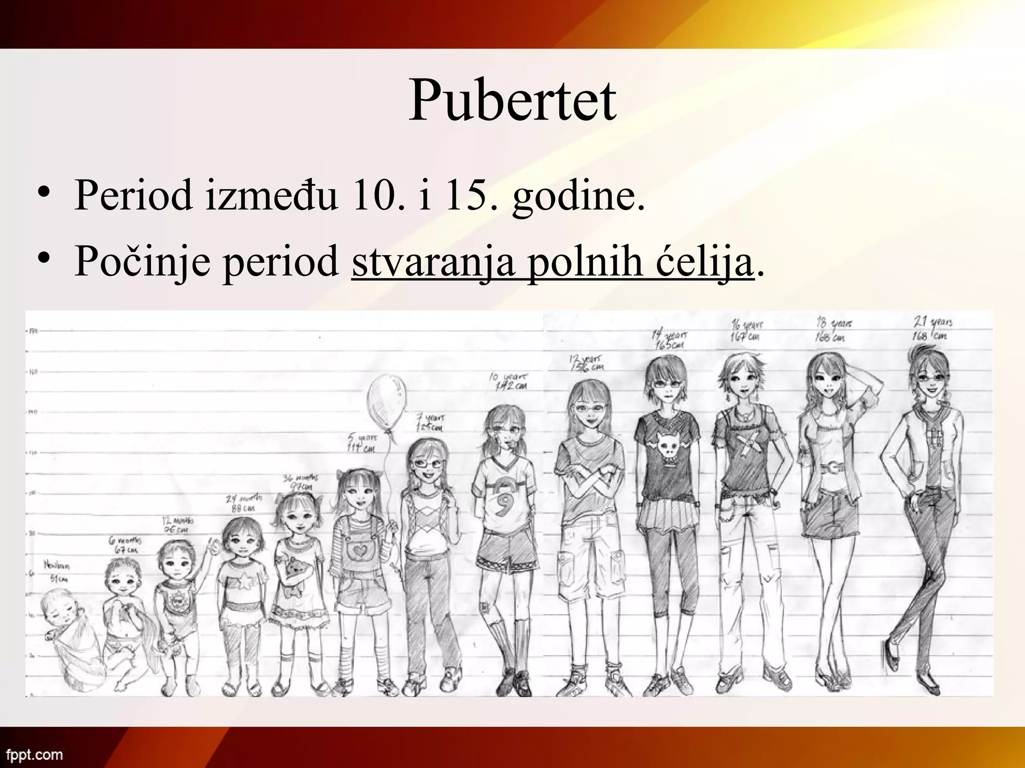 Sistem organa za razmnožavanje | PPT