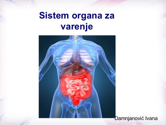 Sistem organa za varenje