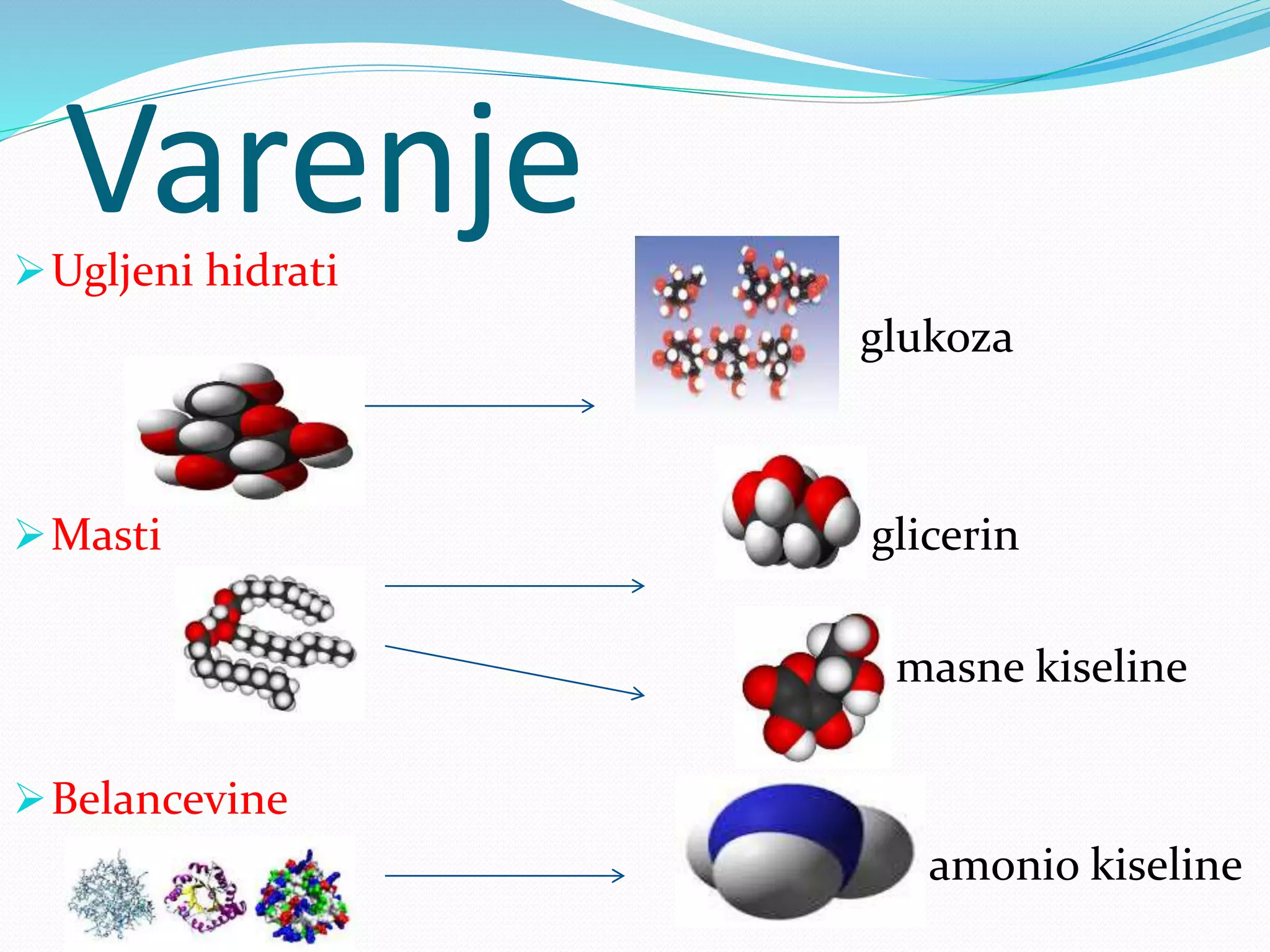 Sistem organa za varenje | PPTX