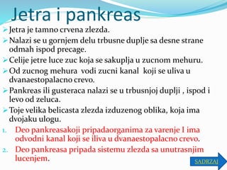 Sistem organa za varenje | PPTX