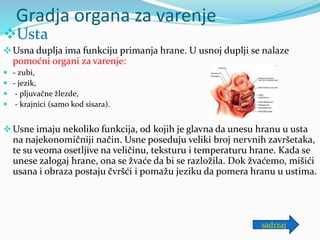 Sistem organa za varenje | PPTX