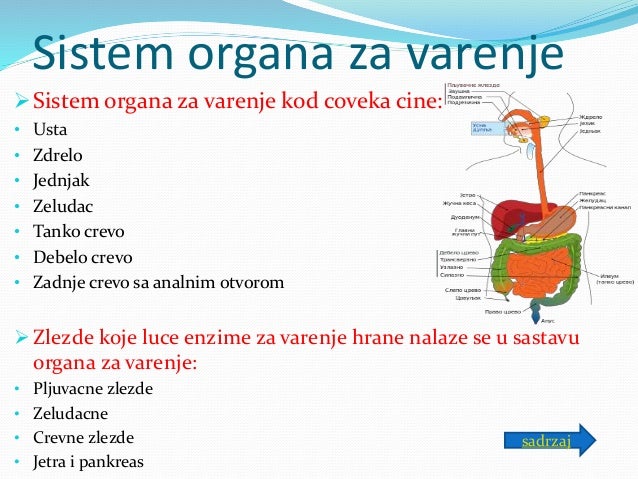Sistem organa za varenje