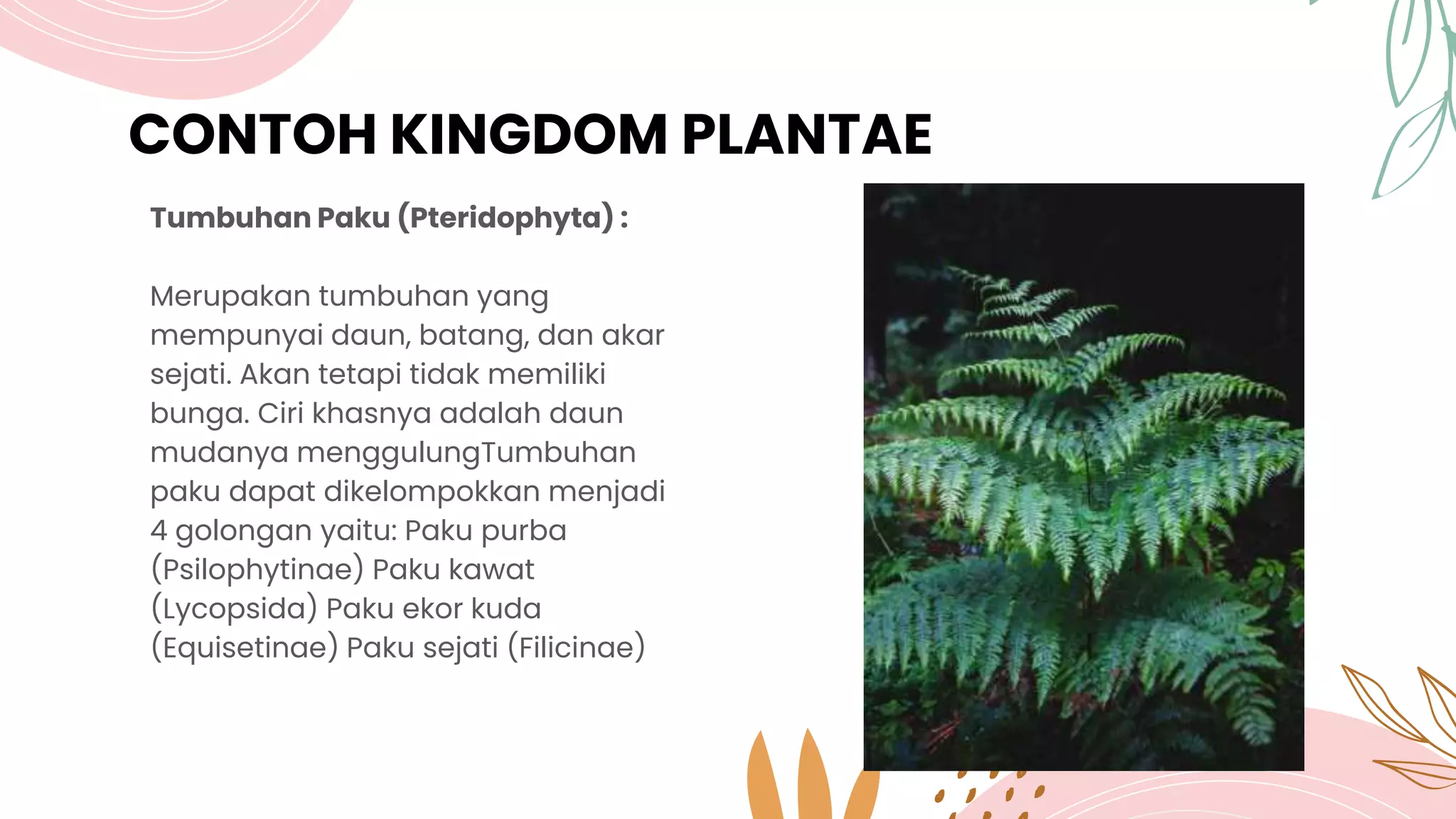 SISTEM ORGANISASI KEHIDUPAN.pptx