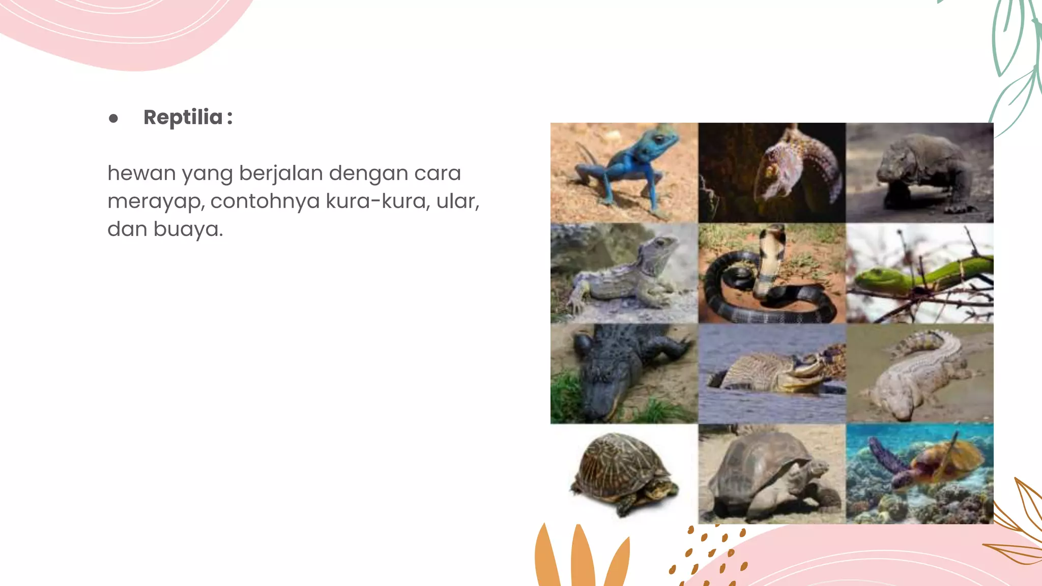 SISTEM ORGANISASI KEHIDUPAN.pptx