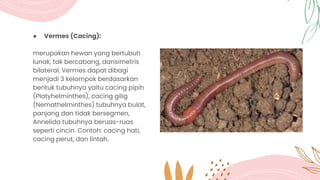 SISTEM ORGANISASI KEHIDUPAN.pptx