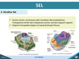 Sistem Organisasi Kehidupan.pptx