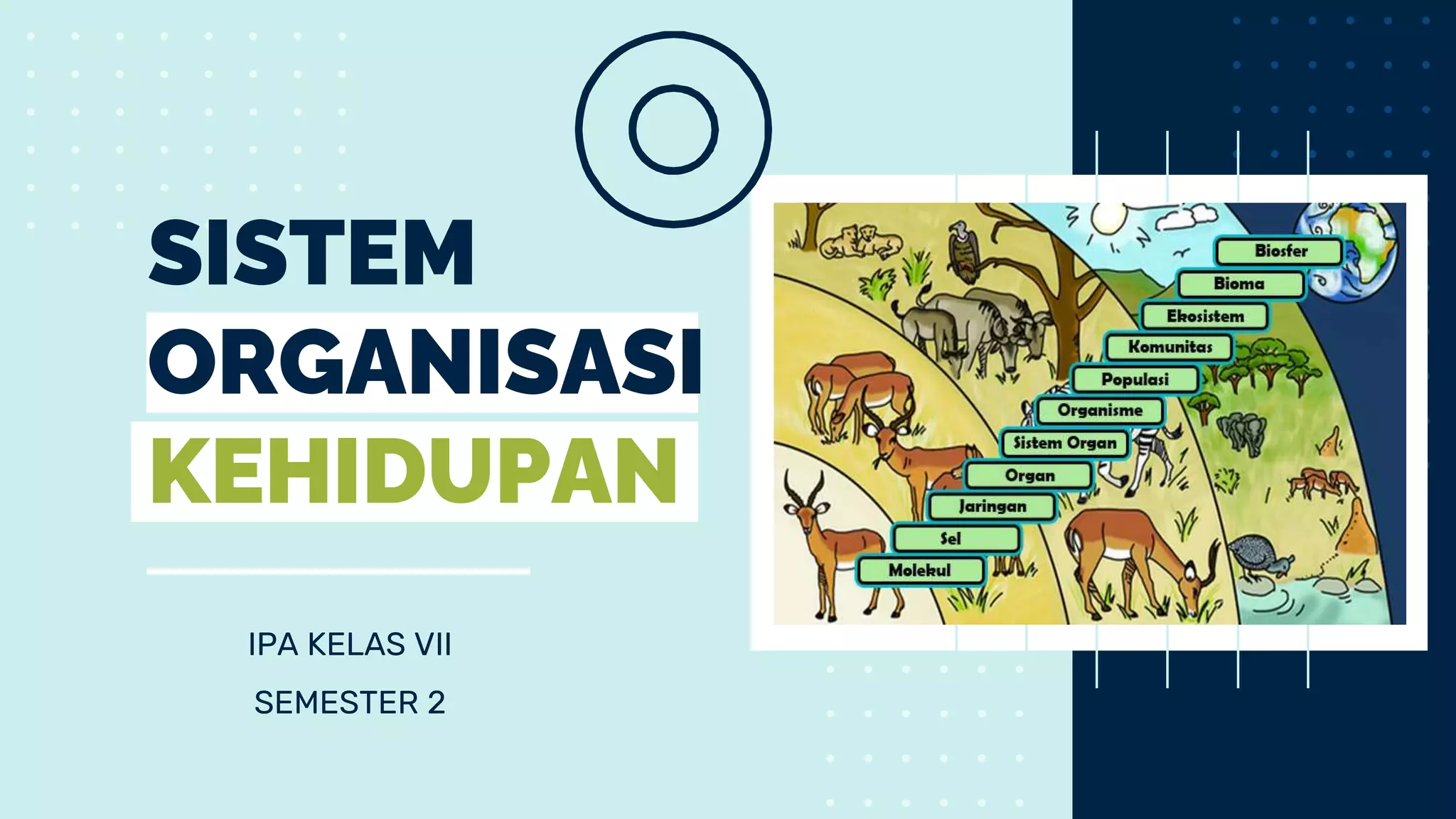 SISTEM ORGANISASI KEHIDUPAN.pptx