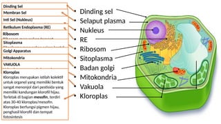 SISTEM ORGANISASI KEHIDUPAN pelajaran ipa.pptx