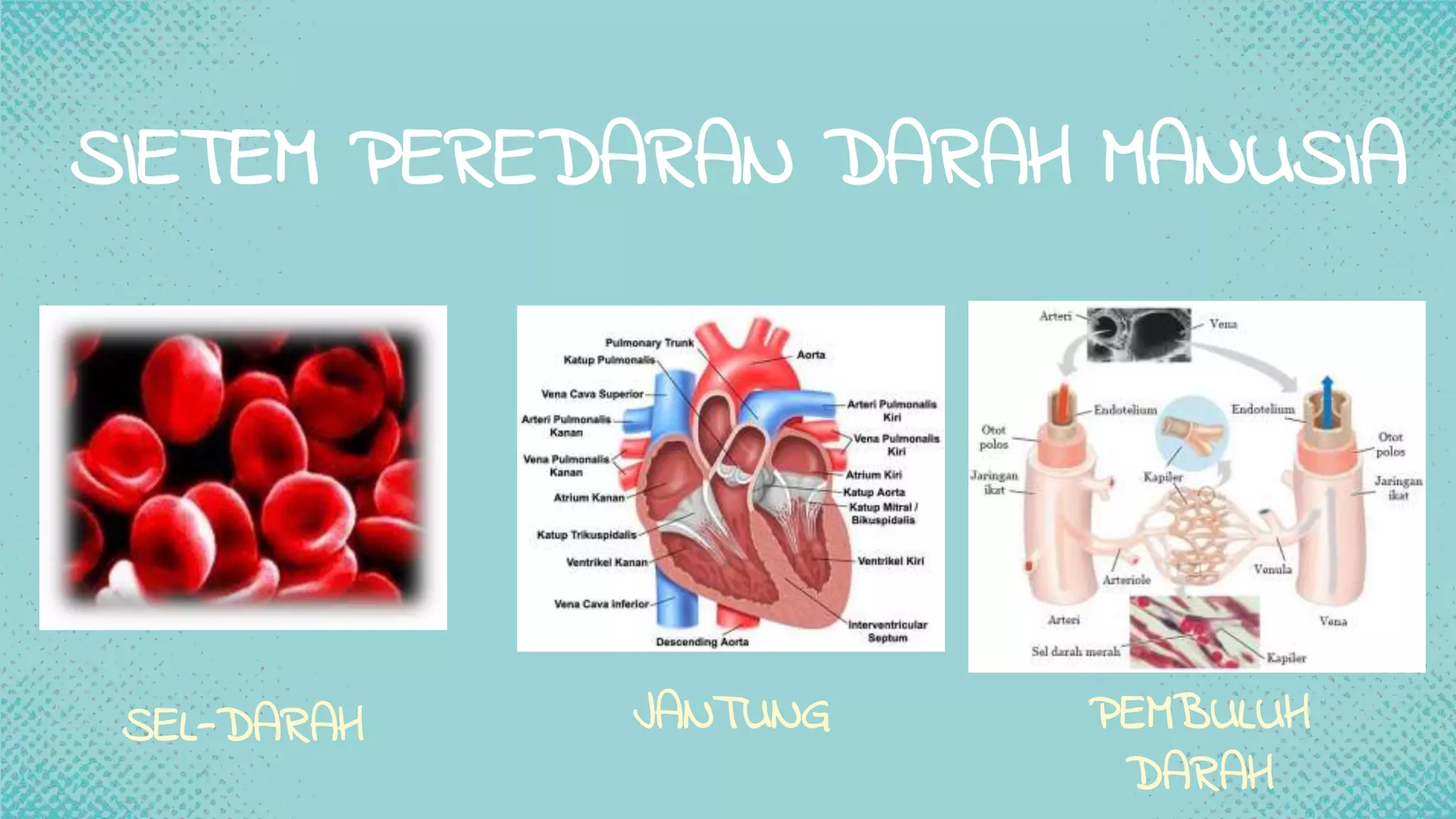 SISTEM ORGAN MANUSIA.pptx