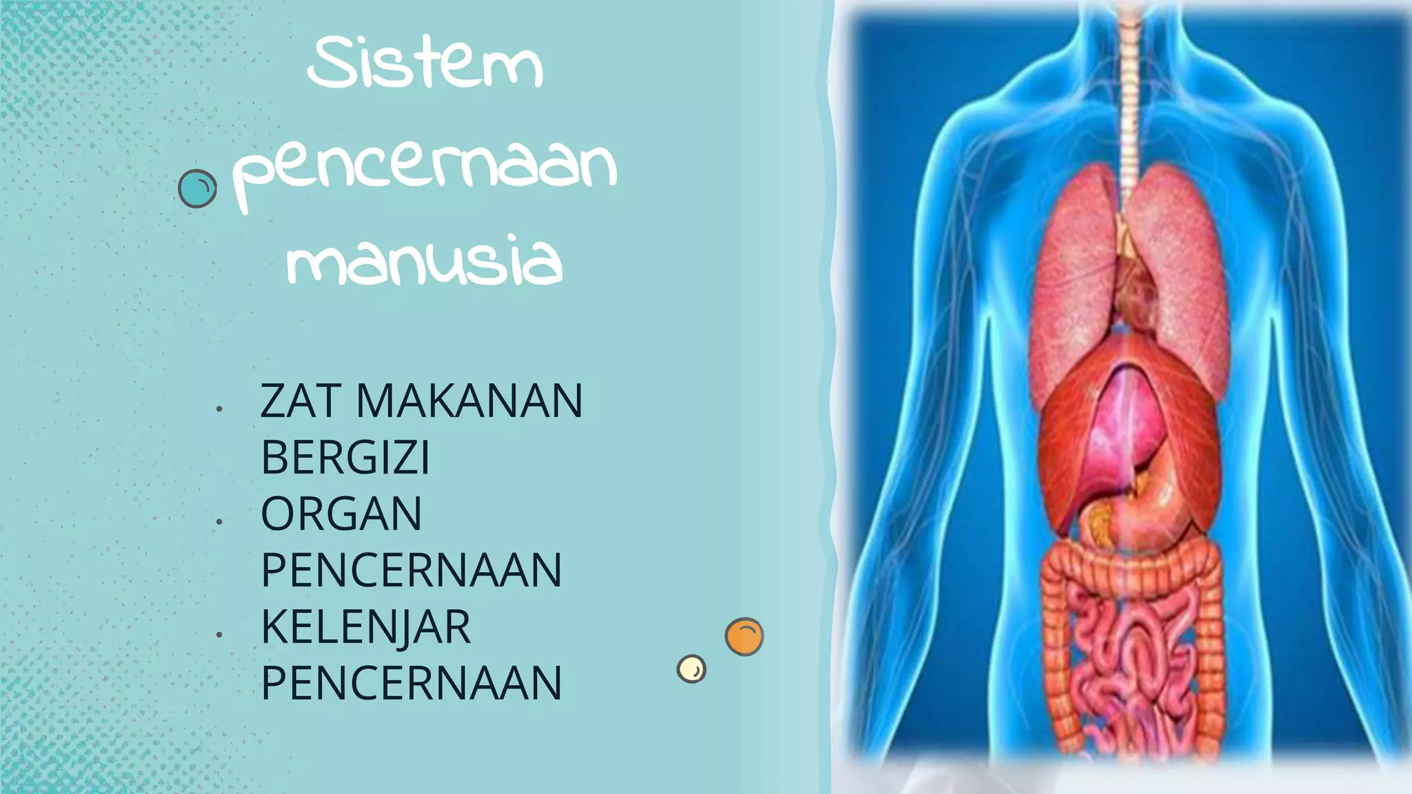 SISTEM ORGAN MANUSIA.pptx | Free Download