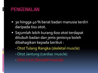Sistem otot | PPTX