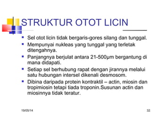 Sistem otot (Anatomi & Fisiologi) STPM Penggal 2 | PPT