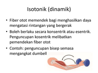 Sistem otot | PPTX