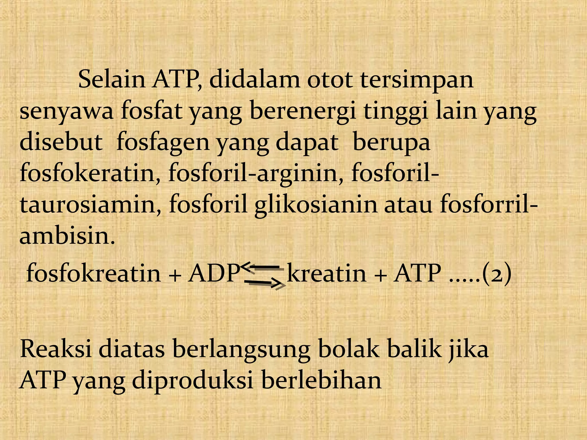 Sistem otot | PPT