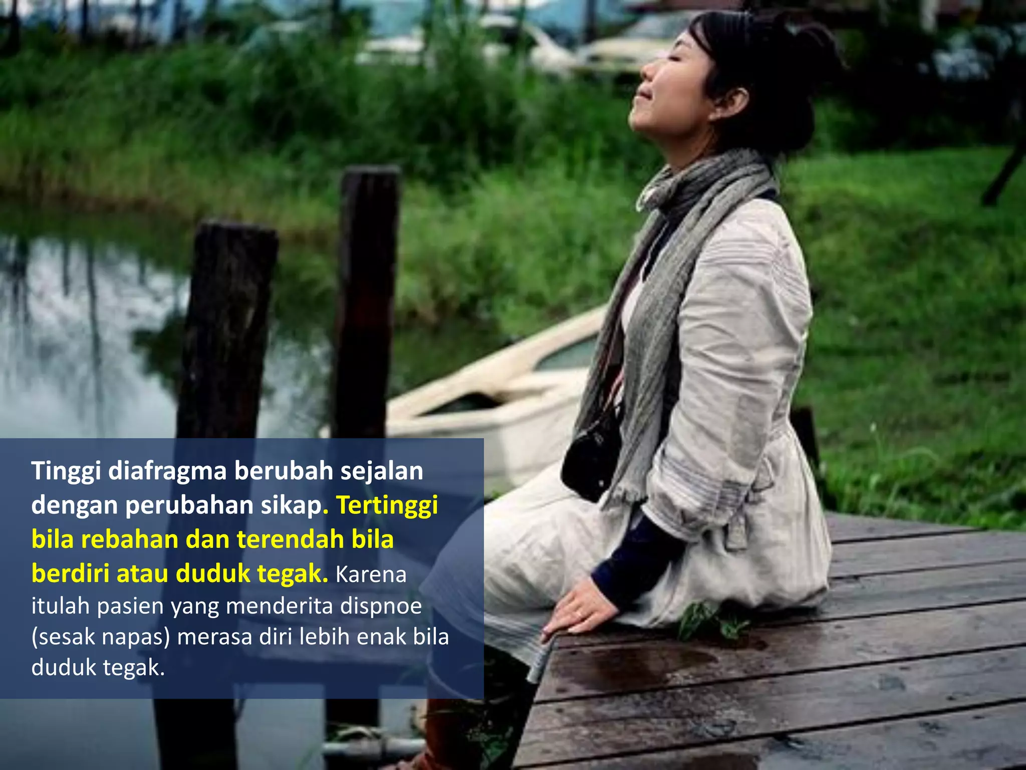 Sistem Otot Kerangka | PDF