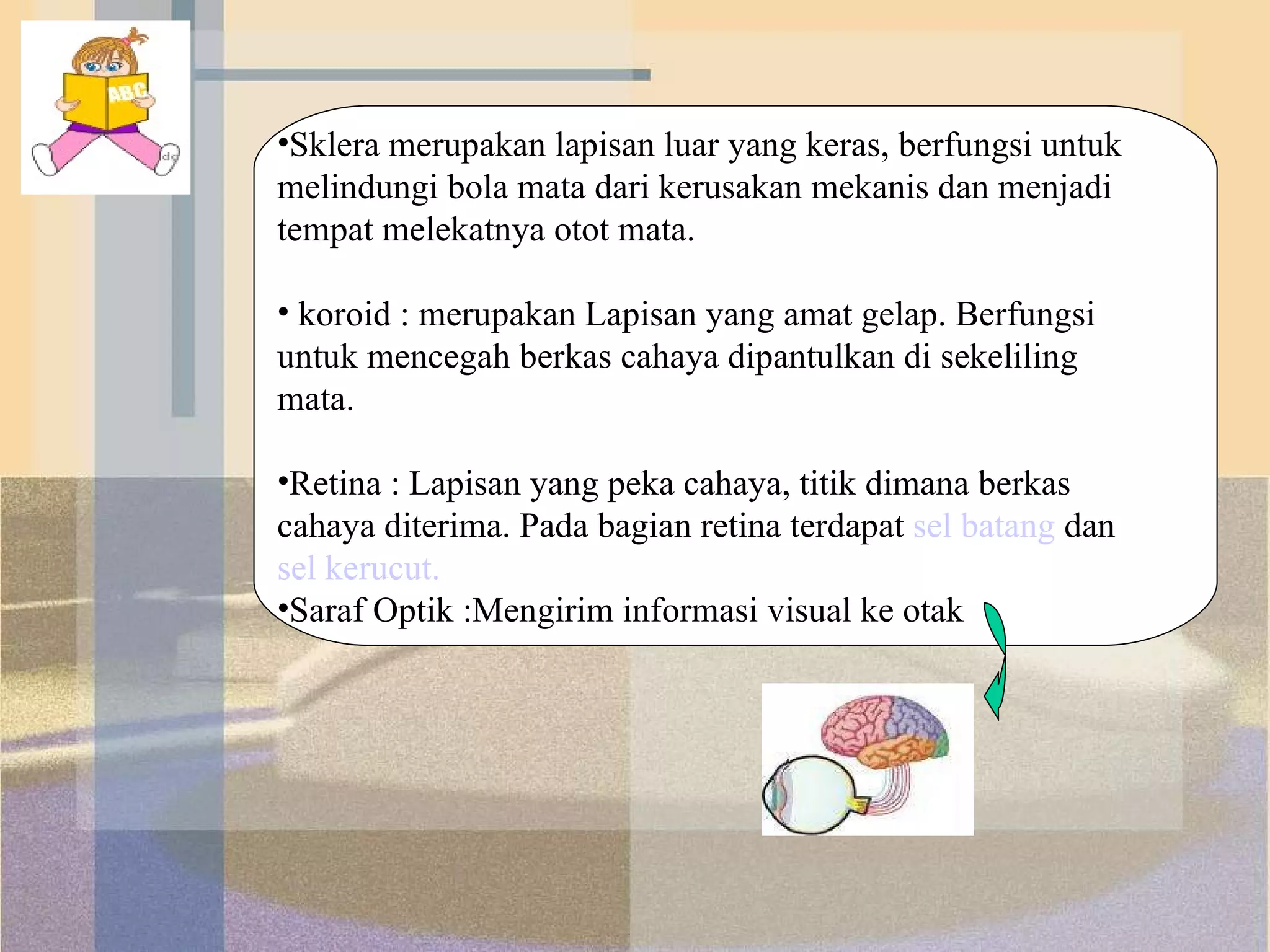 Sistem panca indera | PPT