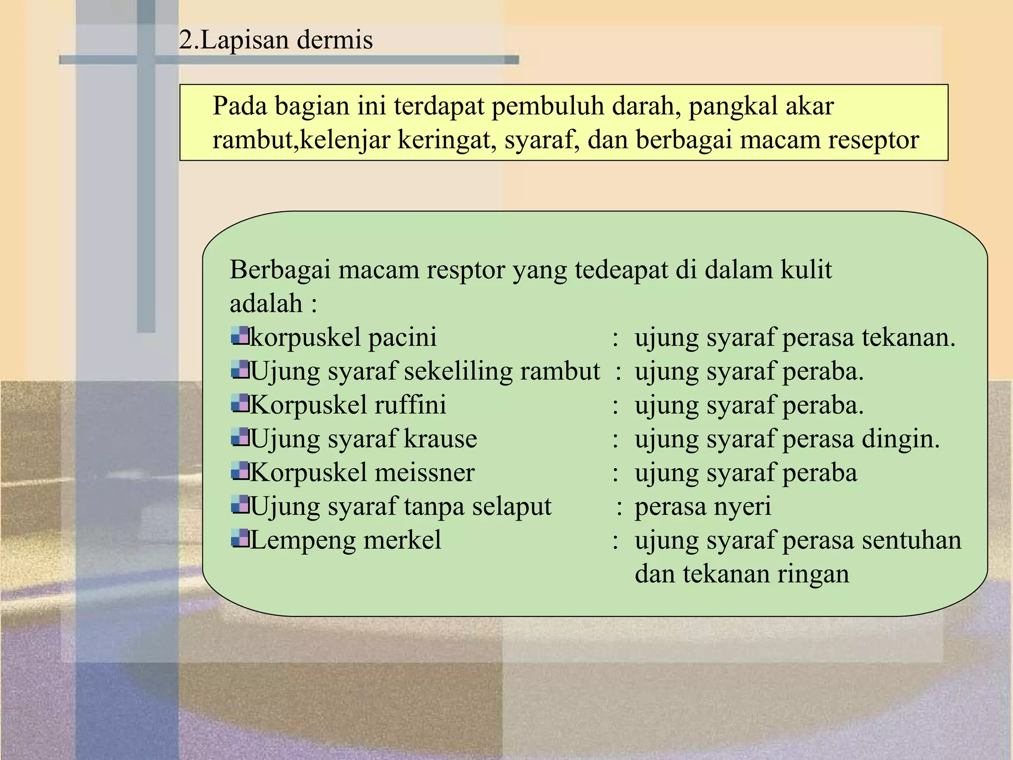 Sistem panca indera | PPT