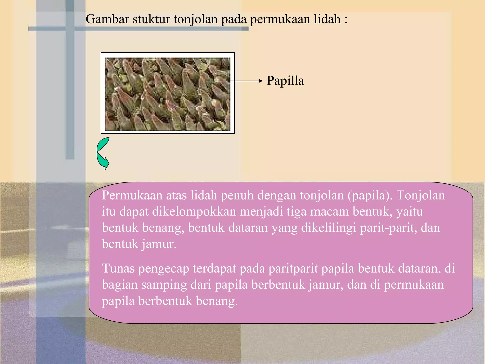 Sistem panca indera | PPT