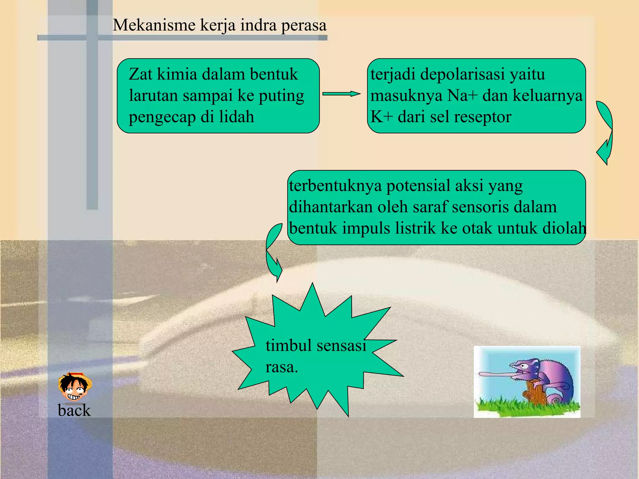 Sistem panca indera | PPT