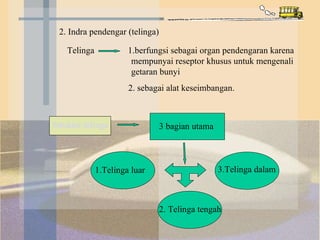 Sistem panca indera | PPT