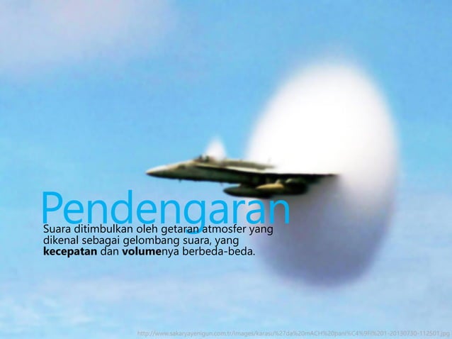 Sistem Pancaindera | PPT