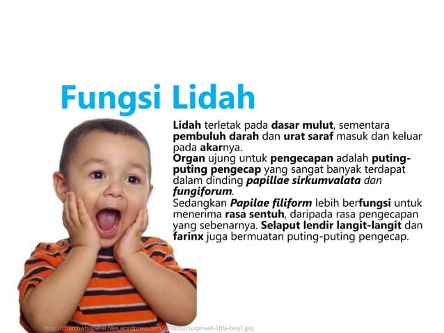 Sistem Pancaindera | PPT