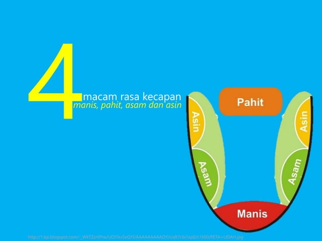 Sistem Pancaindera | PPT