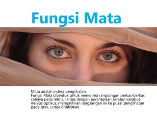 Sistem Pancaindera | PDF