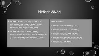 Sistem panca indera .pptx